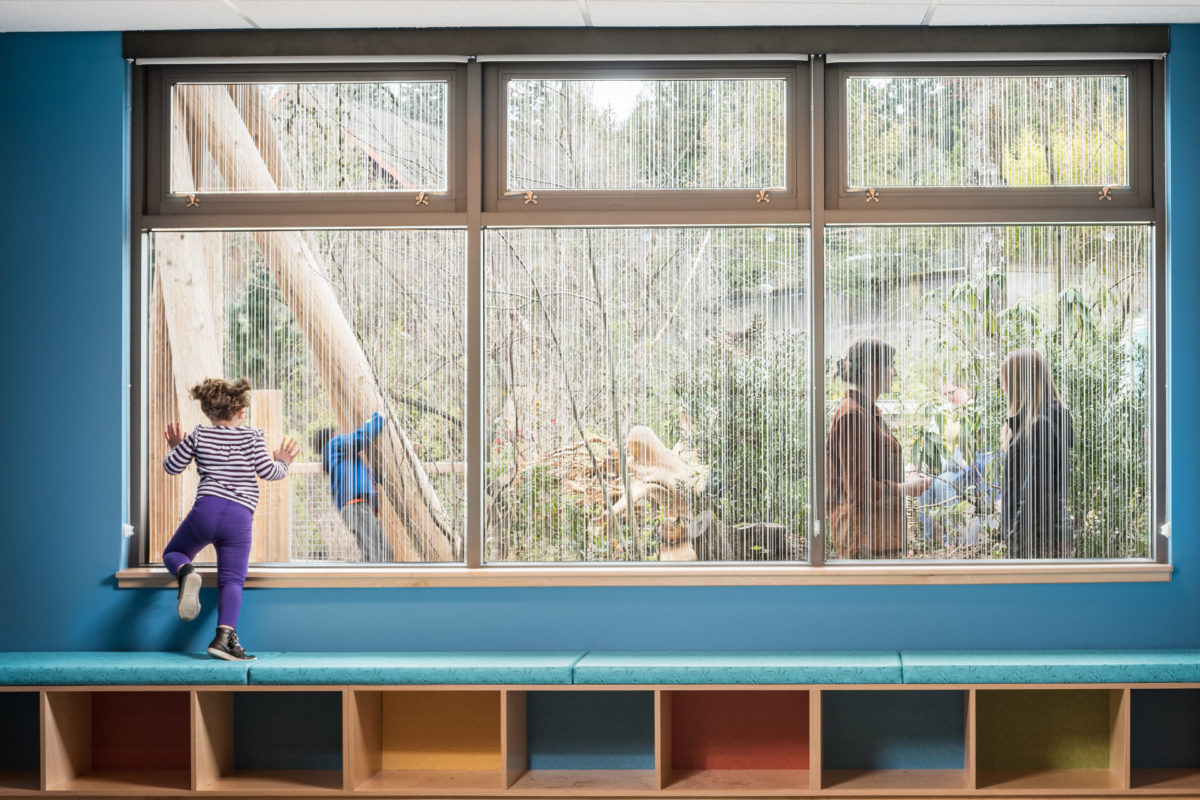 Design Leadership - Opsis Architecture