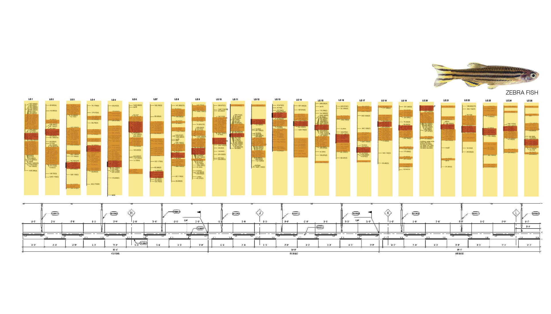 UO Allan Price Science Commons & Research Library - Opsis Architecture