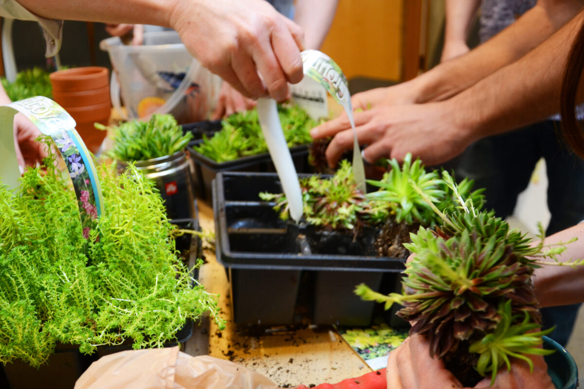 Oregon Zoo Education Center - Opsis Architecture